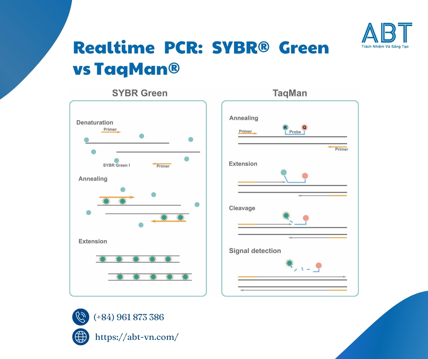 Realtime PCR: SYBR® Green so với TaqMan® - ABT - Trách nhiệm và Sáng tạo